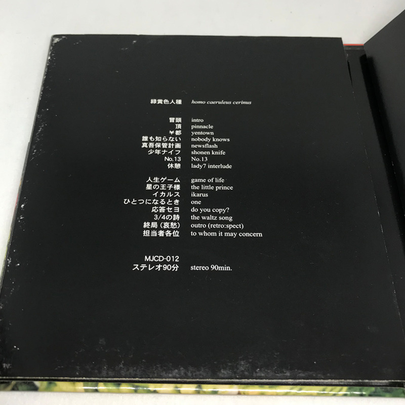 Shing02 / 緑黄色人種 | 90年代の日本語ラップ